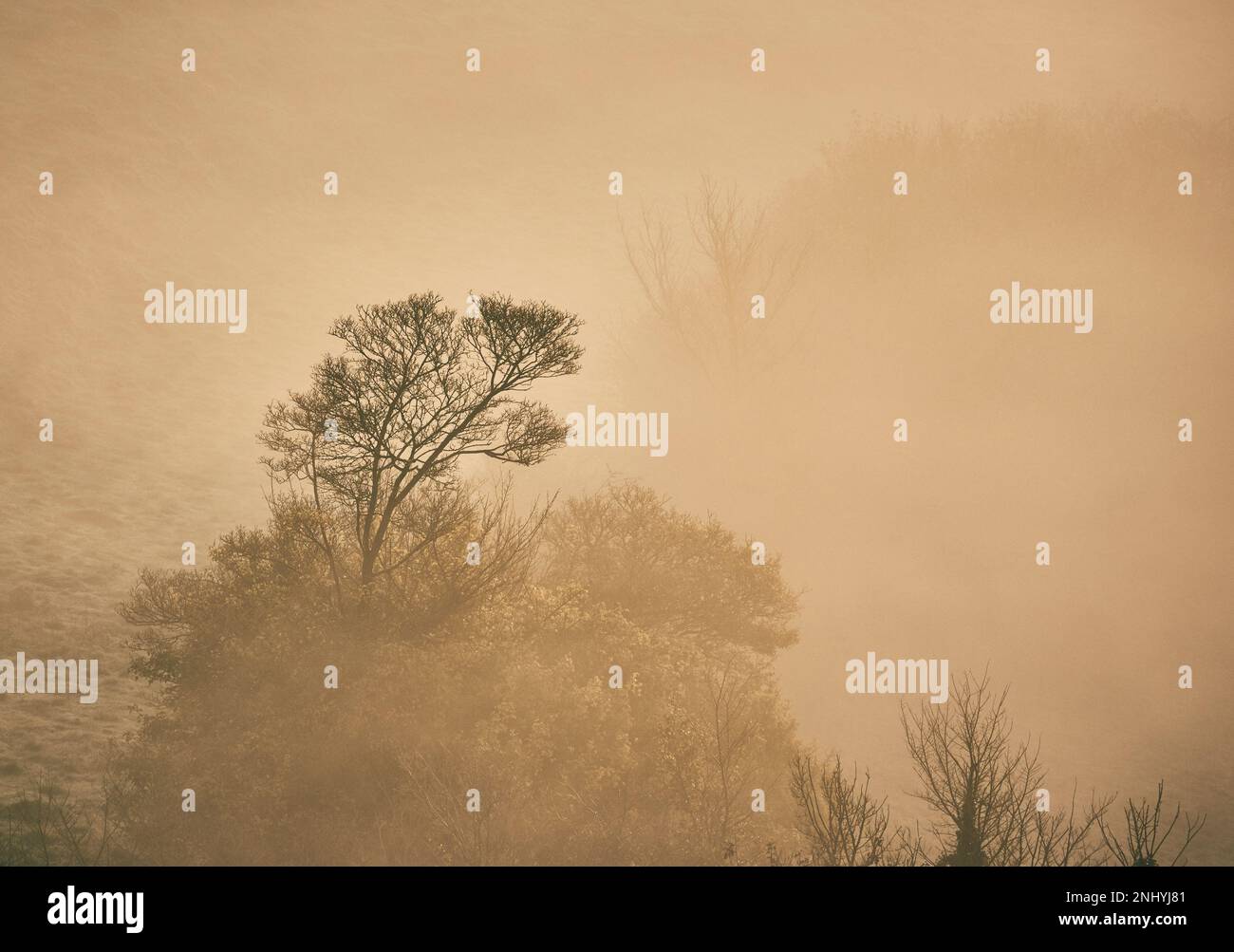 The mists of Avalon rolling through the landscape from Glastonbury Tor ...