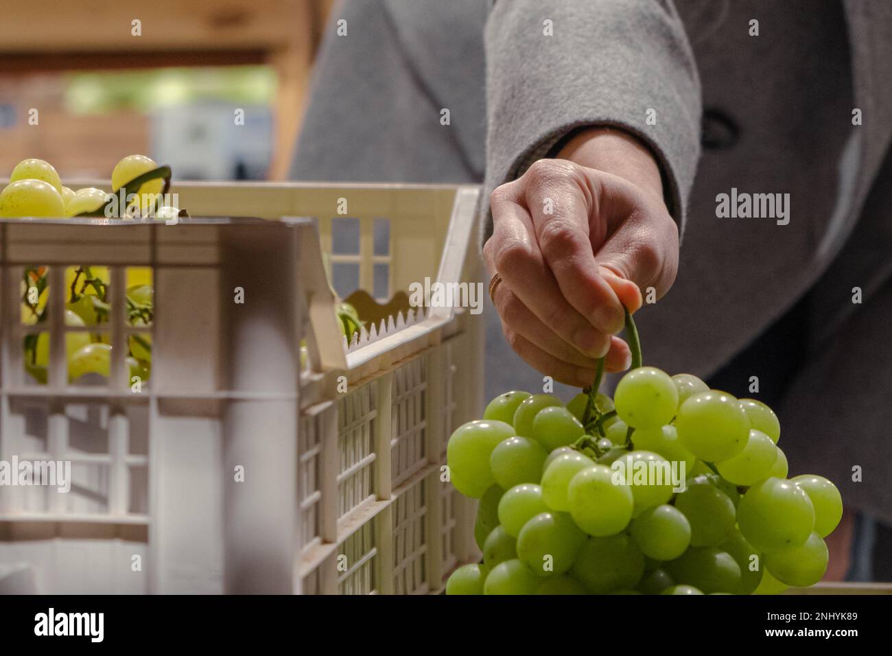 In grocery store, woman picks grapes Stock Photo - Alamy