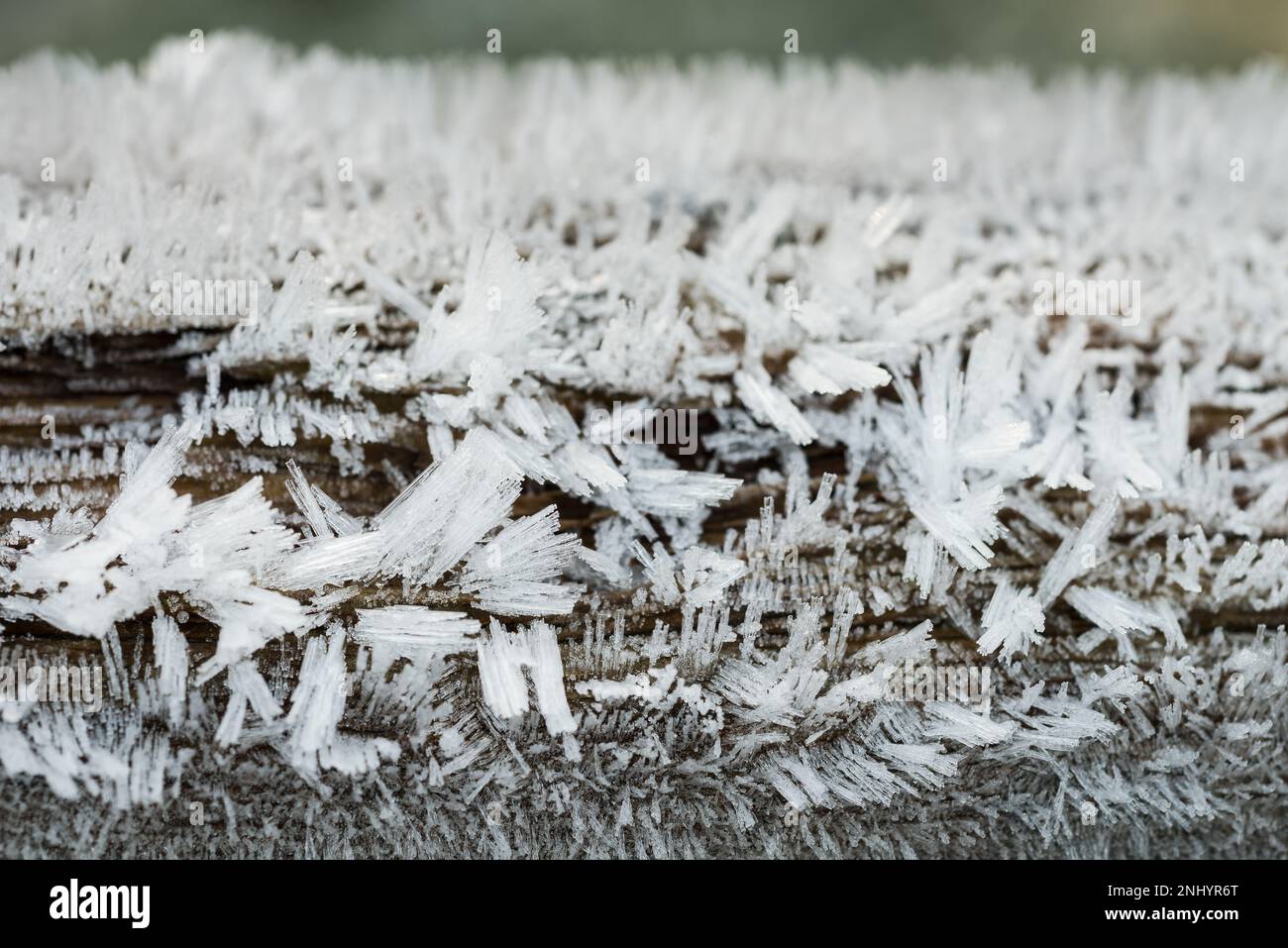 Harsh freezing hoar fog moisture makes water droplets turn directly ...