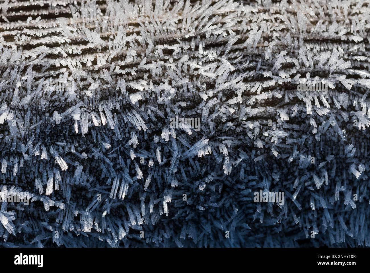 Harsh freezing hoar fog moisture makes water droplets turn directly ...