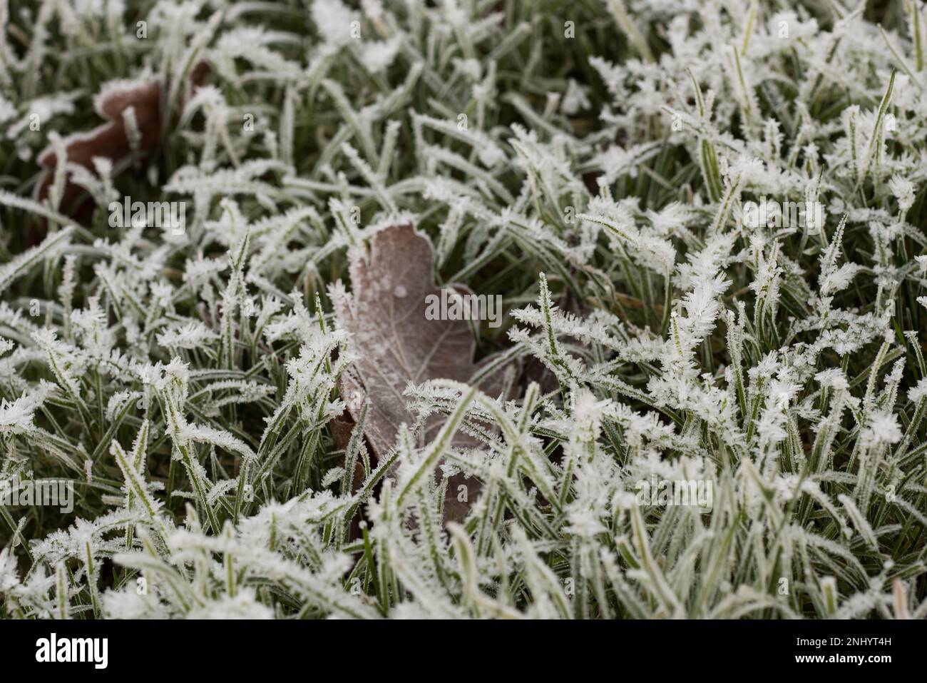 White jagged crystalline deposits of frozen water vapour formed in ...