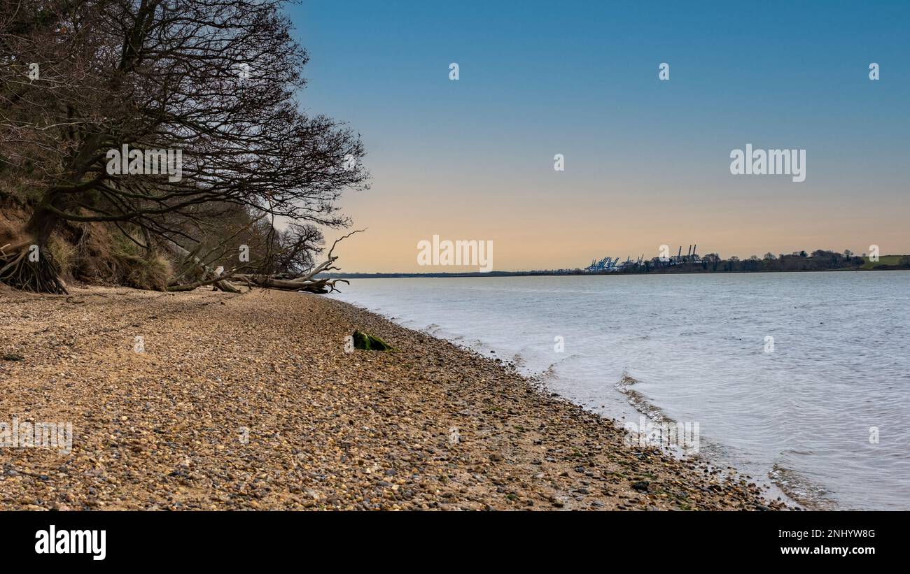 Shingle stone riverbank beach at load tide Stock Photo - Alamy