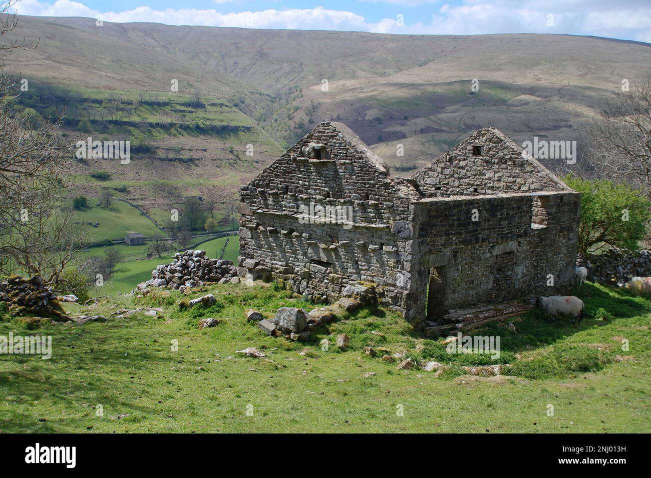 A roofless stone barn situated between Littondale and Langstrothdale in ...