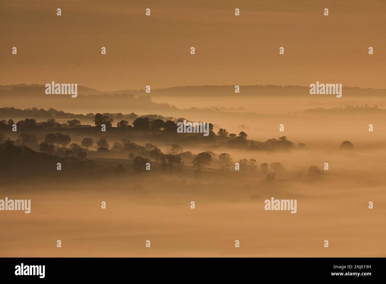 The mists of Avalon rolling through the landscape from Glastonbury Tor ...