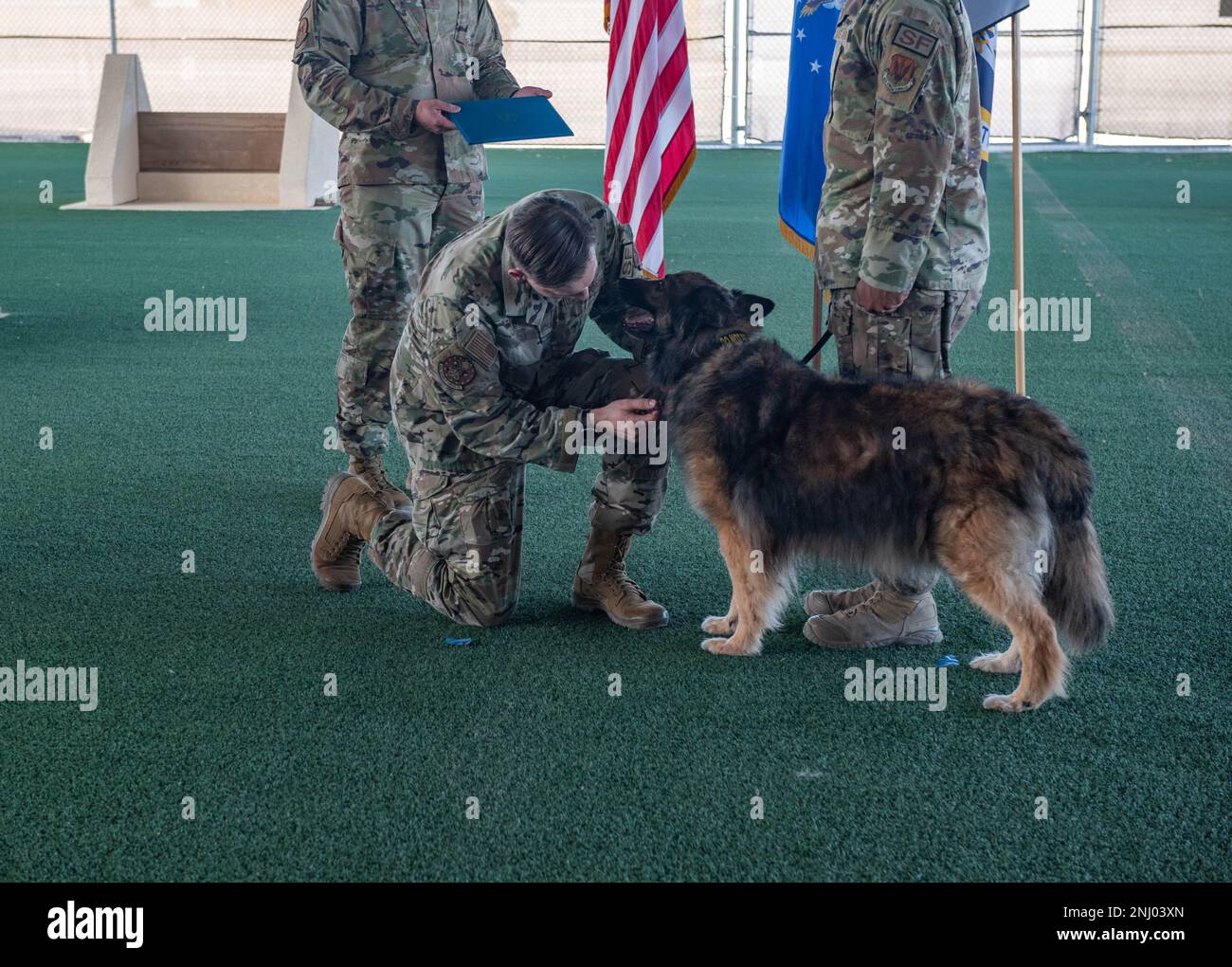 Do Military Dogs Get Retirement
