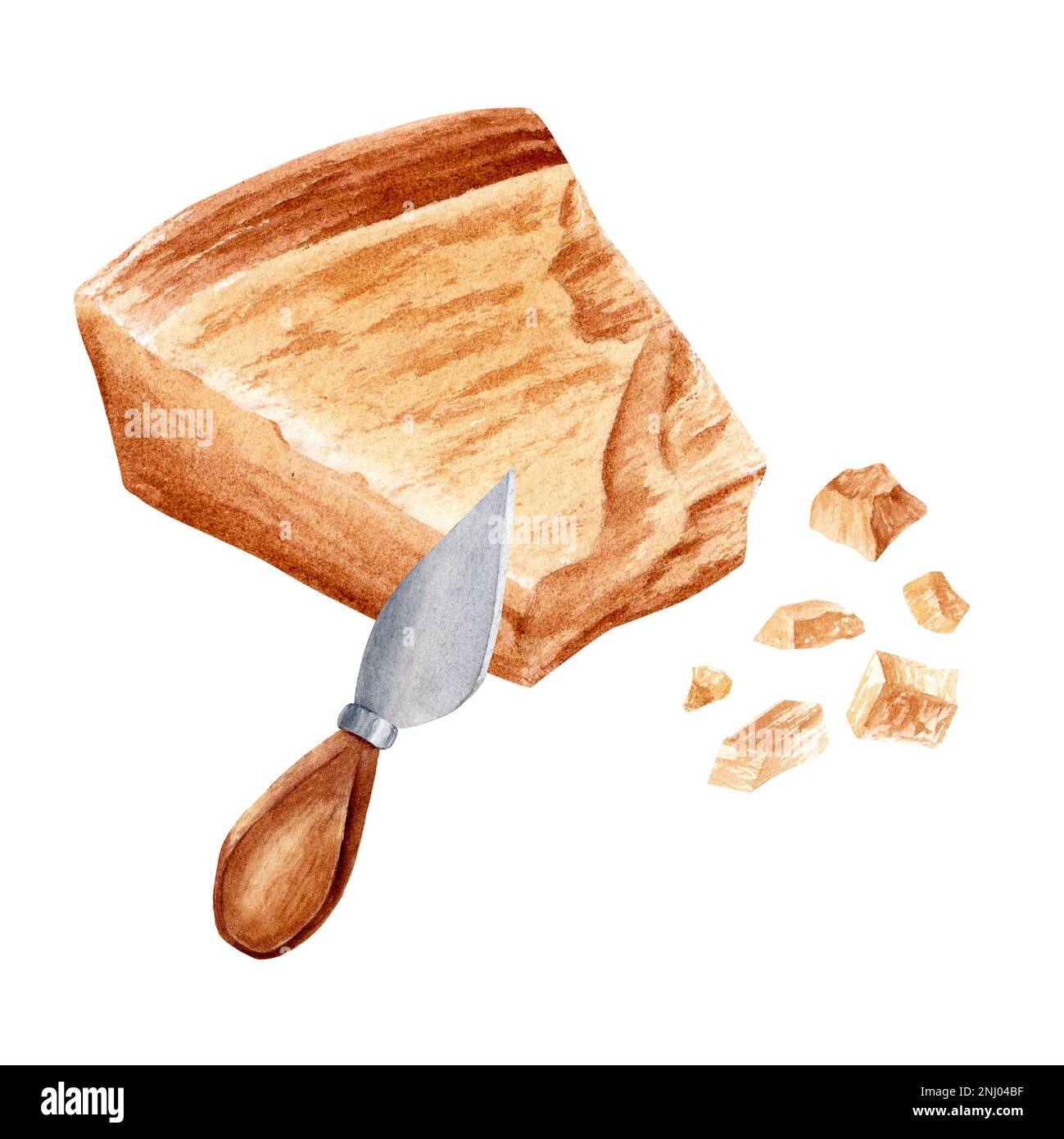 Parmesan hard cheese composition. Watercolor food illustration isolated ...