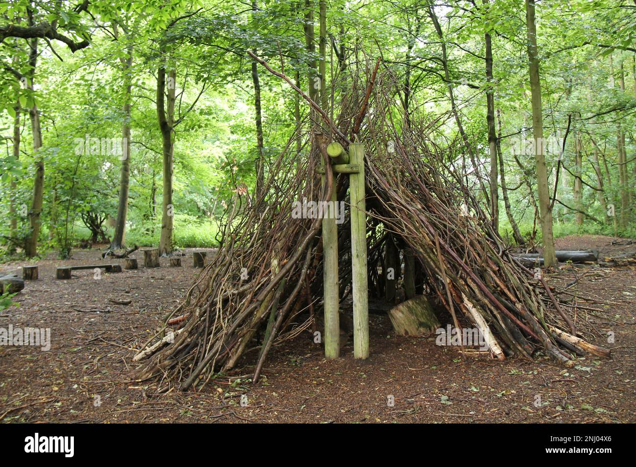 Woodland shelter hi-res stock photography and images - Alamy