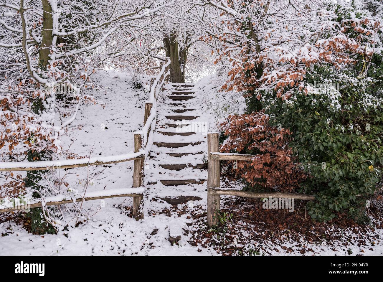 Flight of timber and soil steps covered in snow leading up to a ridge ...