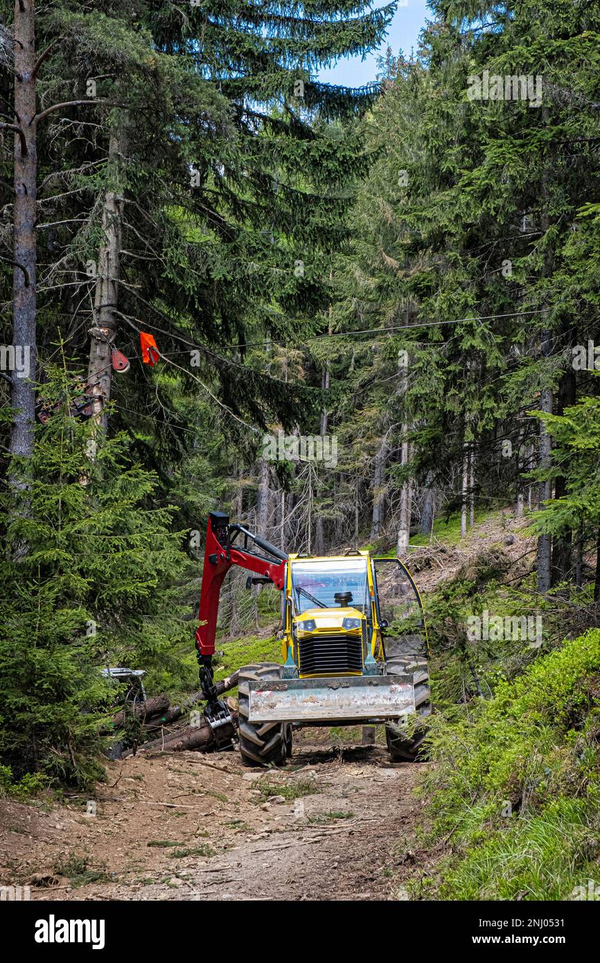 Tree logging in Ziar valley, National park Western Tatras, Slovak ...
