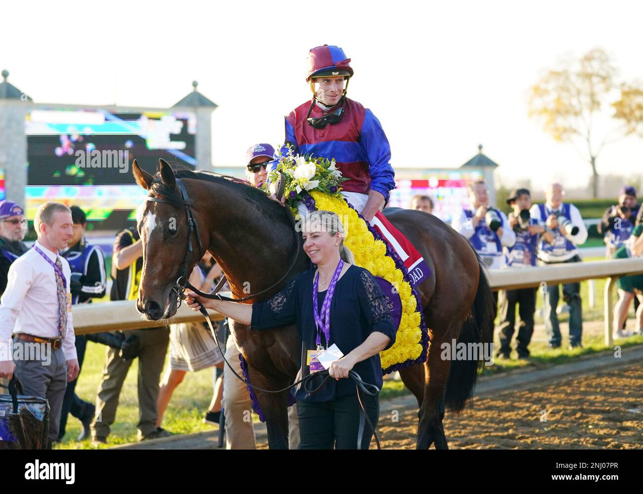 LEXINGTON, KY - NOVEMBER 4: Victoria Road (1) with jockey Ryan Moore up ...