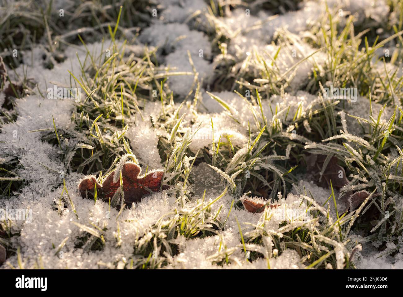 White jagged crystalline deposits of frozen water vapour formed in ...