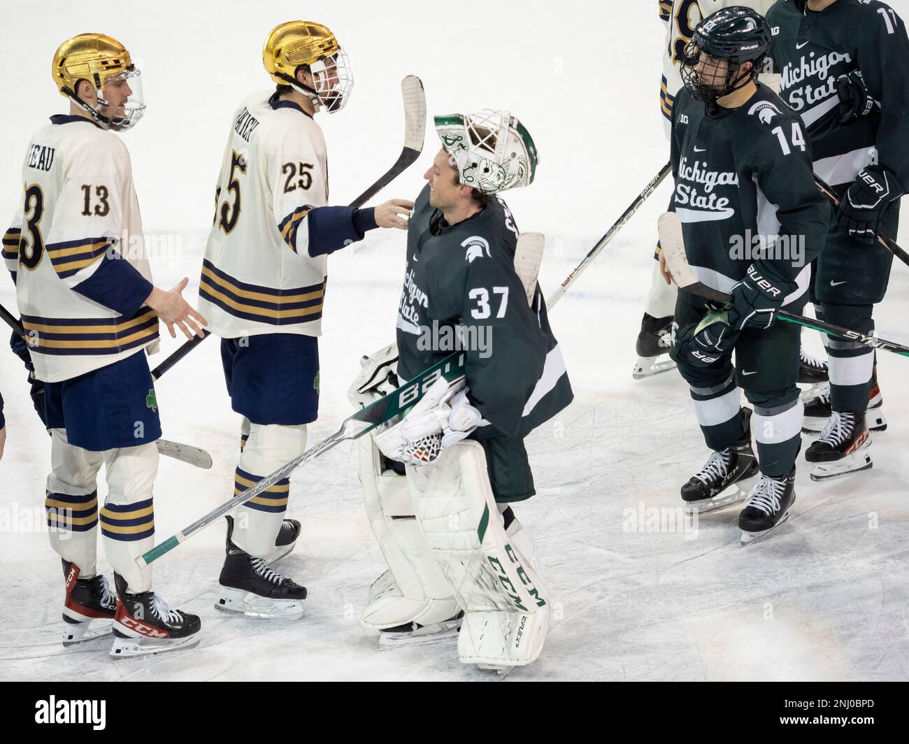 SOUTH BEND, IN - OCTOBER 29: Michigan State Spartans goaltender Dylan ...