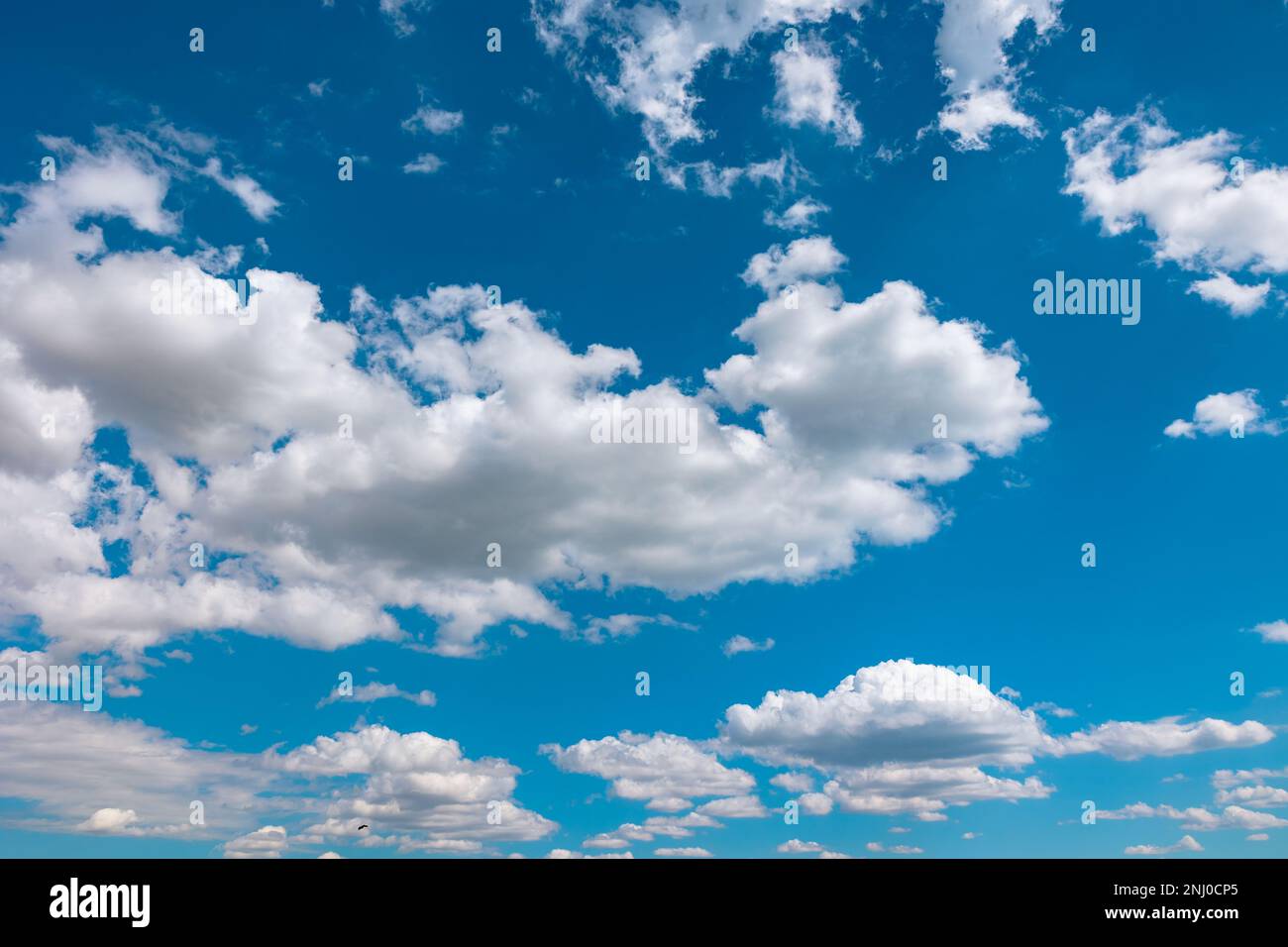 Partly cloudy bright sky. Carbon net zero concept photo. Earth Day or ...
