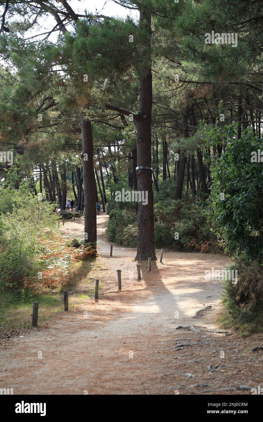 Footpath and woodland at Promenade Paul Chapel, Pointe des Emigres ...