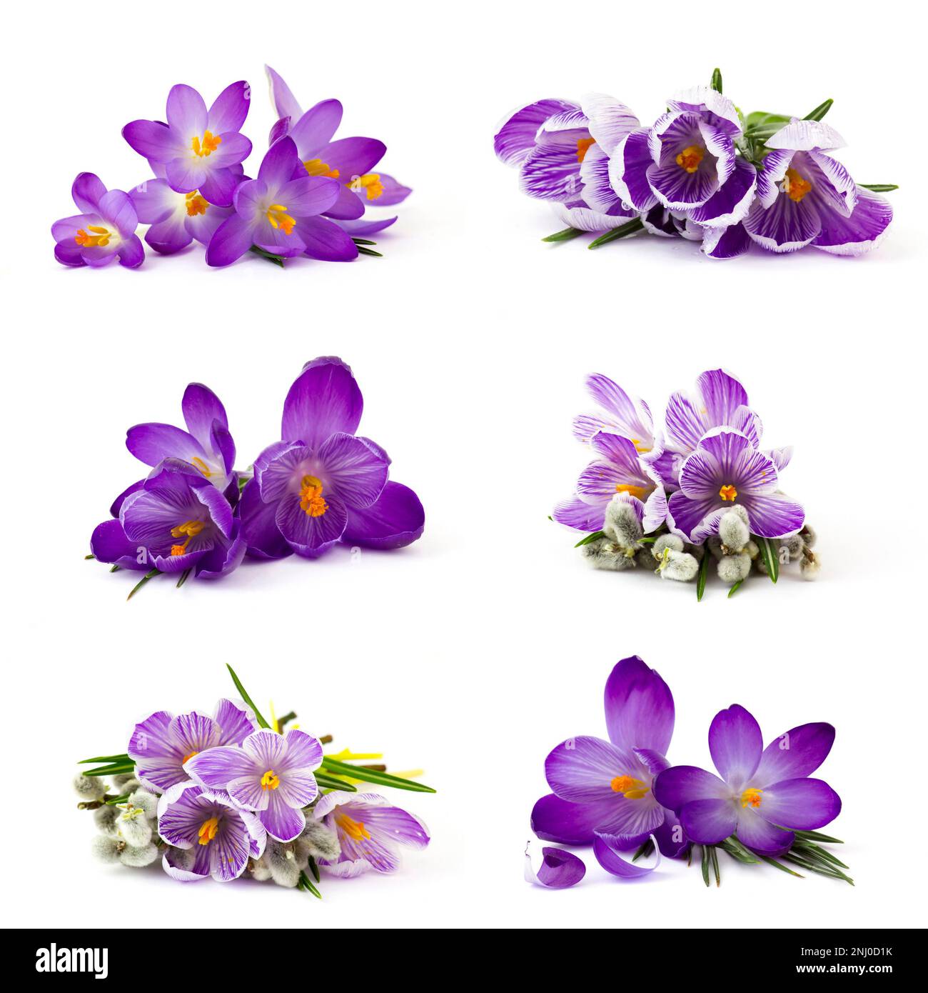 Flowers collage Cut Out Stock Images & Pictures - Alamy