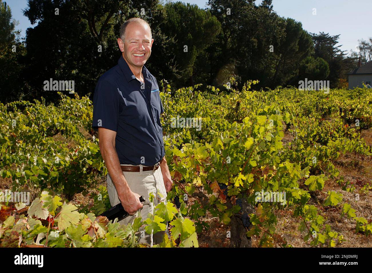 Winemaker Steve Hall browsing the Valsecchi Vineyard in Vineburg, Calif ...