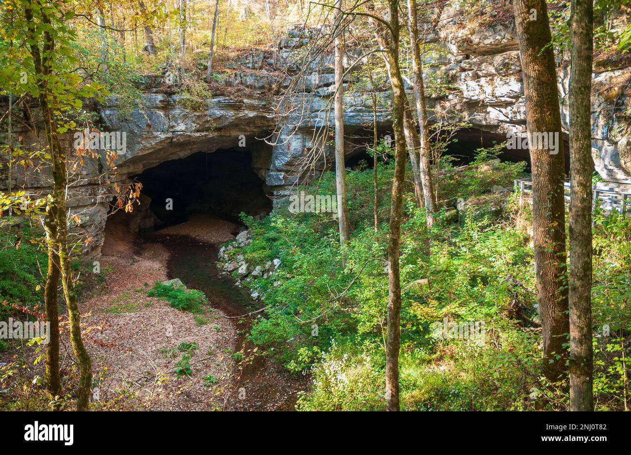 A small stream coming from inside a cave at Russell Cave National ...