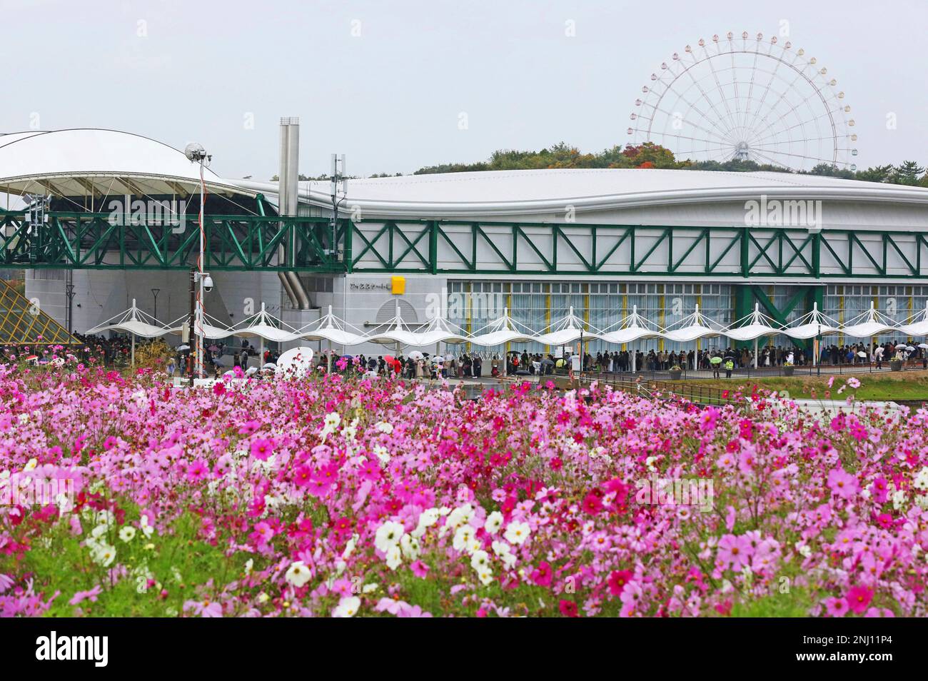 GHIBLI PARK opens at EXPO AICHI COMMEMORATIVE PARK in Nagakute City ...
