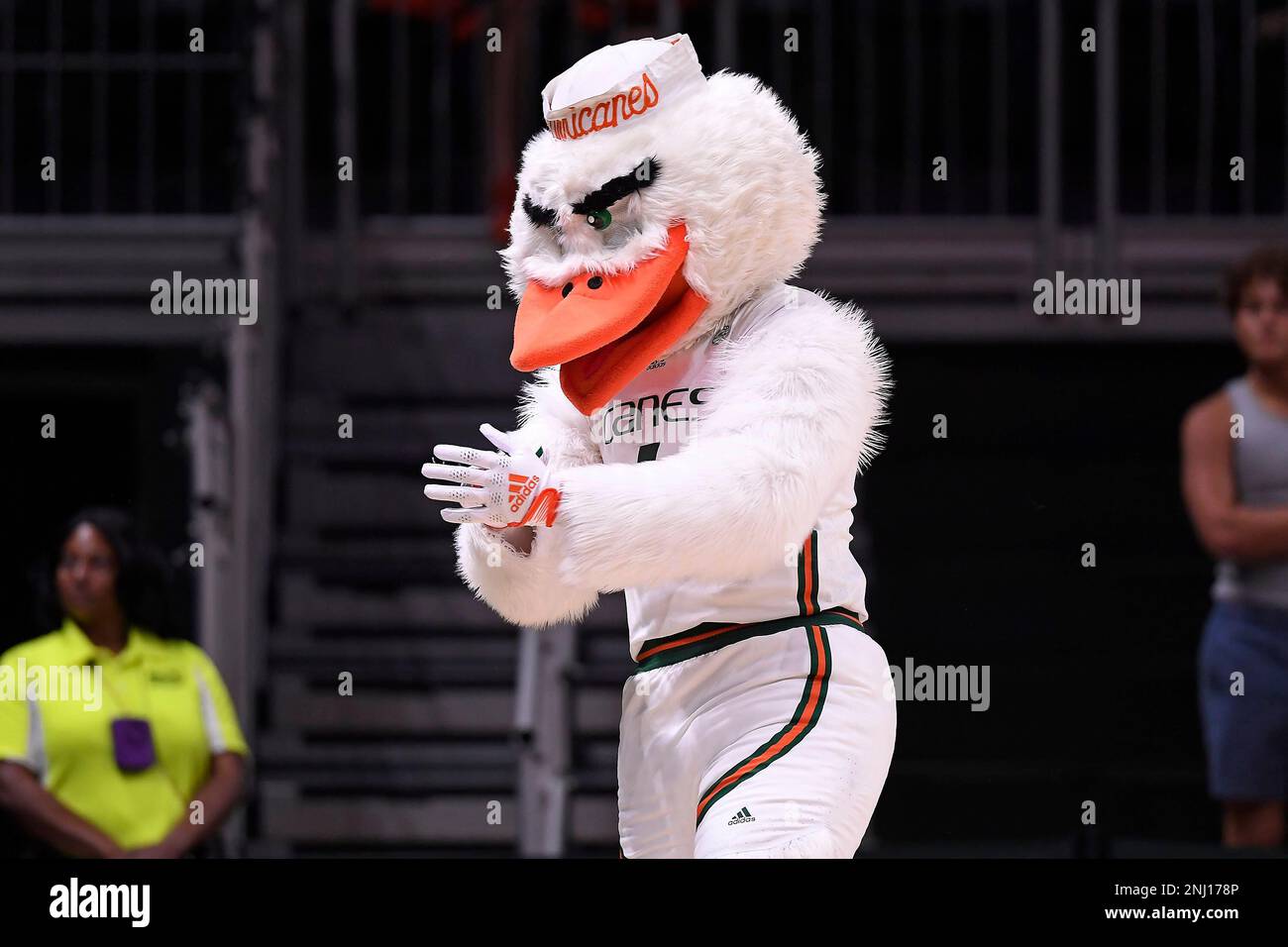 Miami Hurricanes Ibis Logo