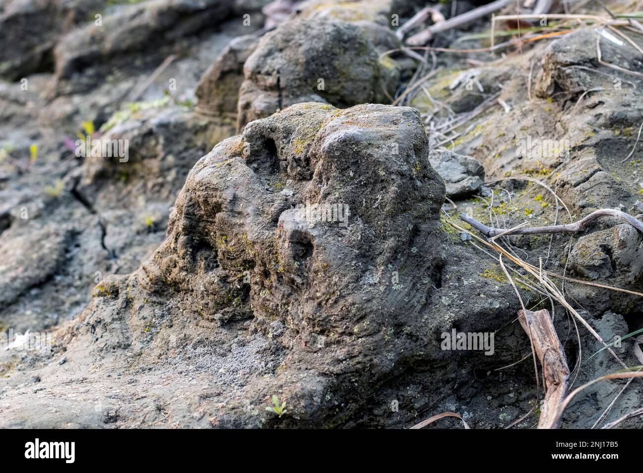 Hard mud hi-res stock photography and images - Alamy