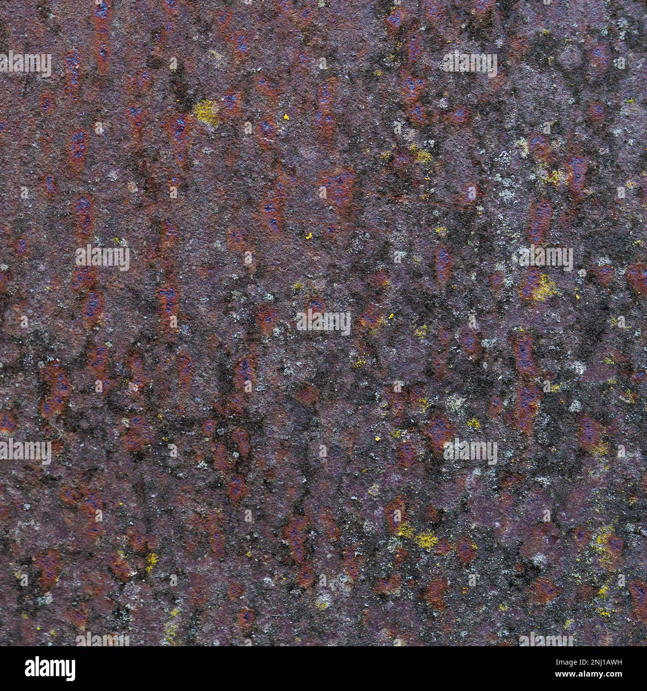 Painted iron surface with a large rusty, black spot and metal corrosion ...