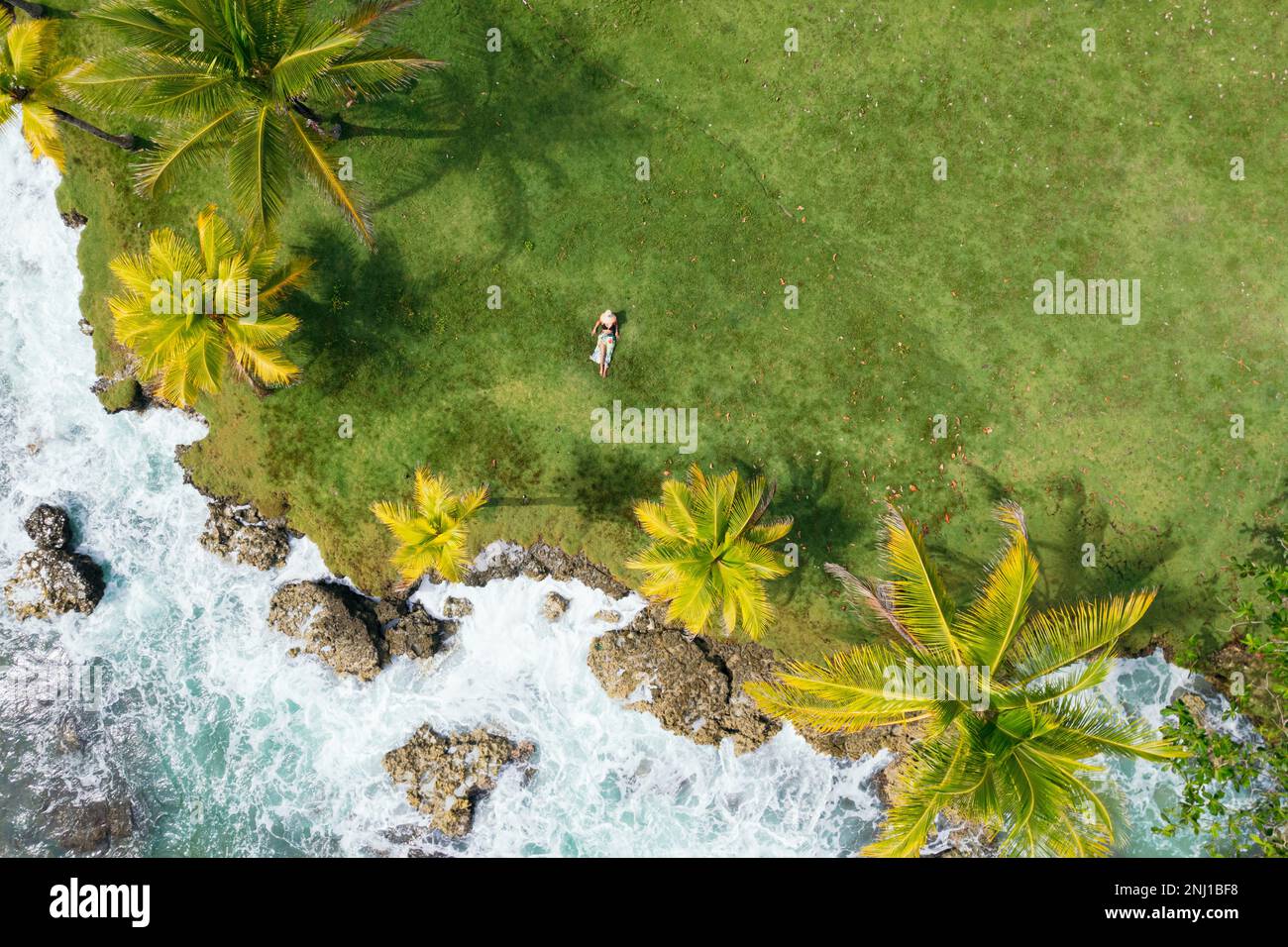 Aerial view of sunbathing on the beach Stock Photo - Alamy