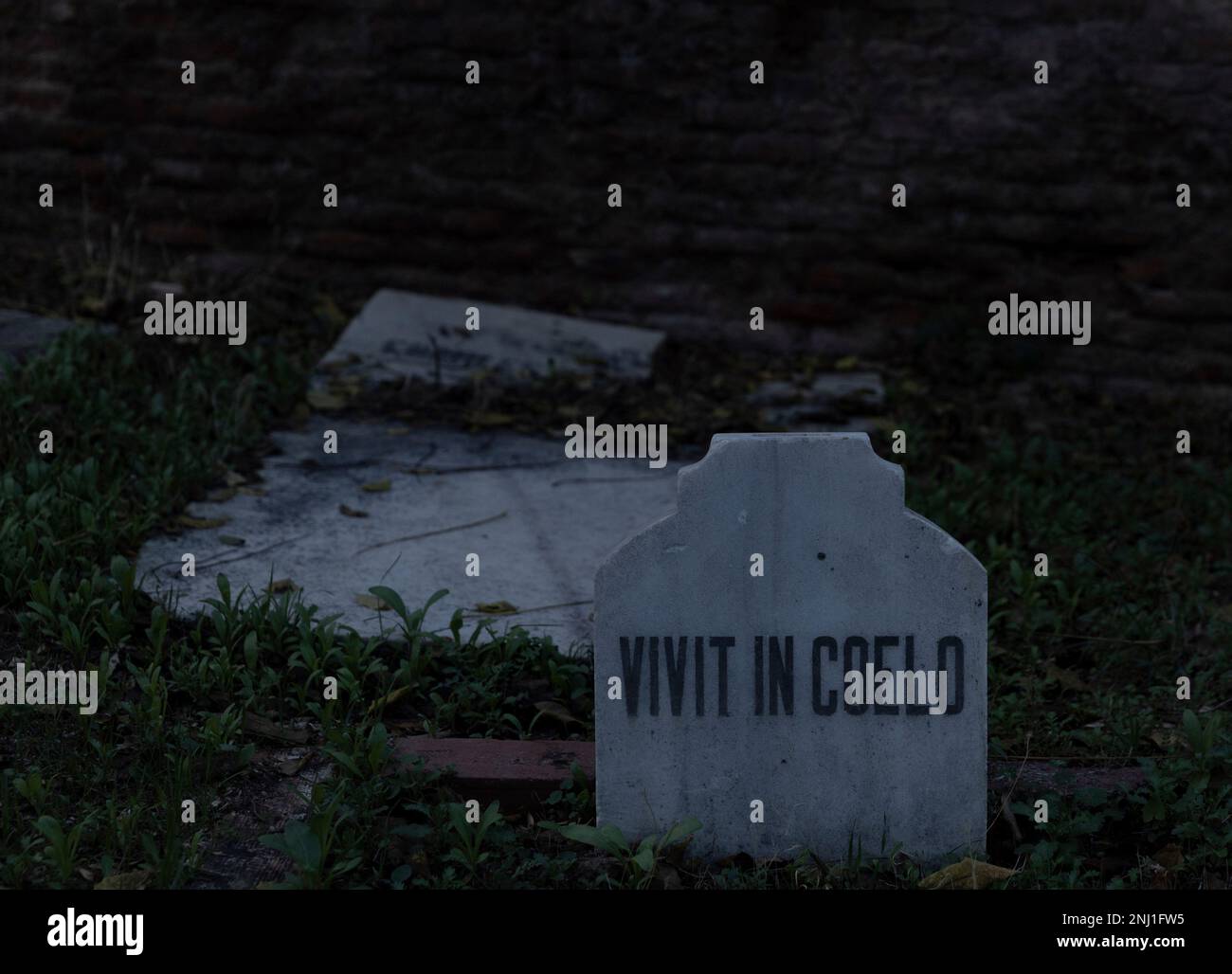 A tombstone reading 'Vivit in coelo', or 'he lives in heaven', at the ...