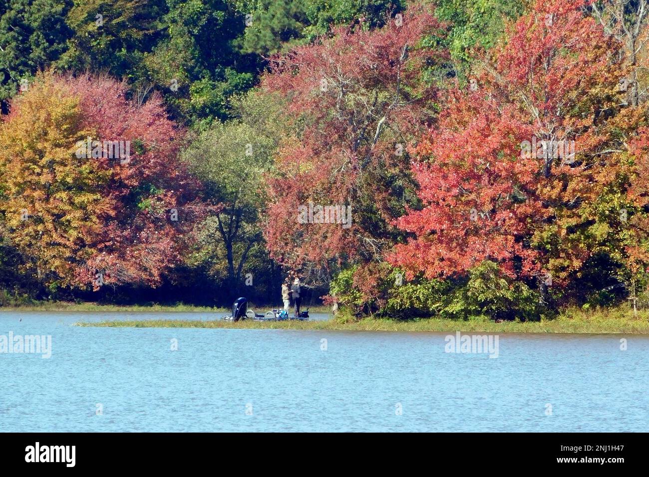 Fall colors are starting to make a splash across Greene County shown at ...