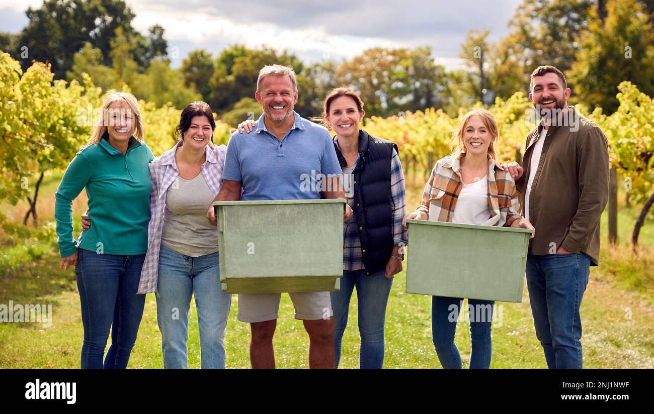 Portrait Of Team Of Graper Pickers At Harvest Working In Vineyard ...