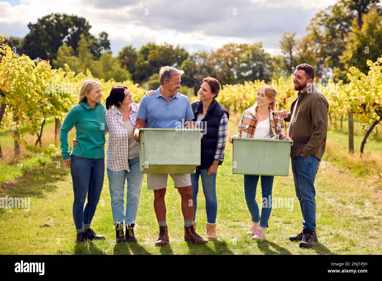 Portrait Of Team Of Graper Pickers At Harvest Working In Vineyard ...