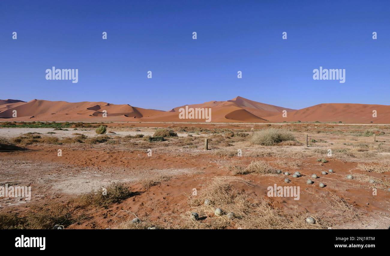 Exploring Namib Desert in Africa with Trailfinders Stock Photo - Alamy