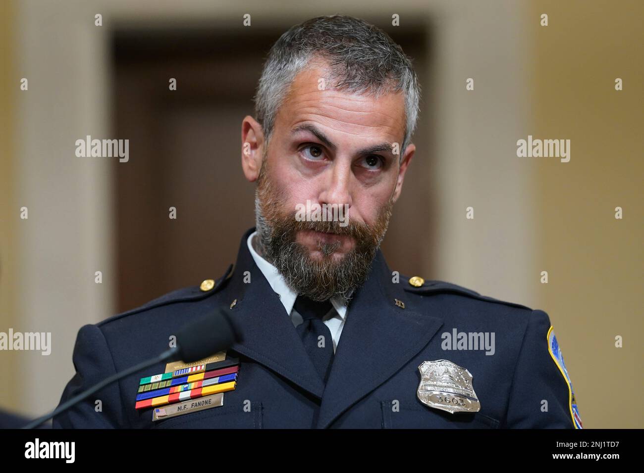 FILE - Washington Metropolitan Police Department officer Michael Fanone ...