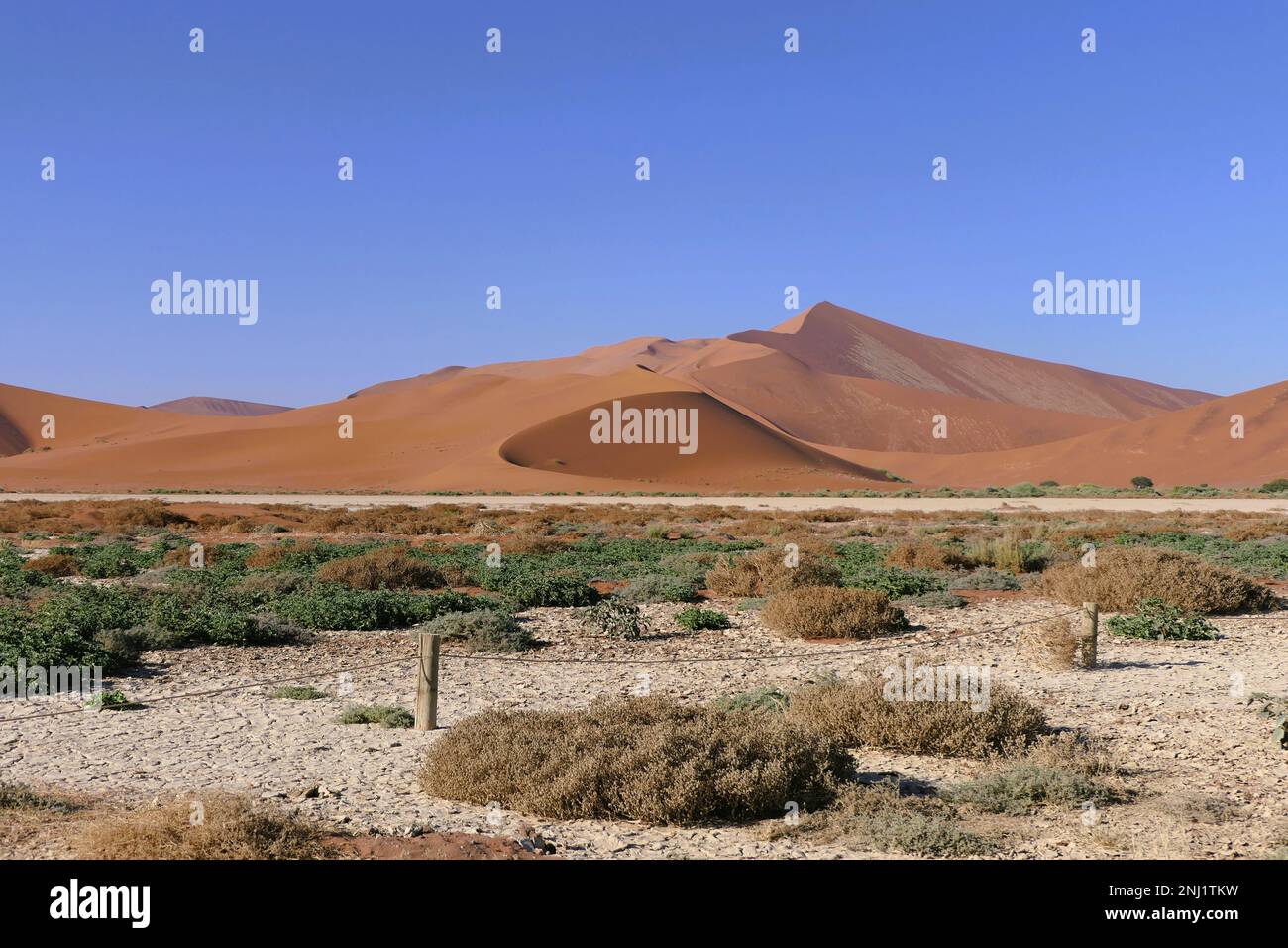 Exploring Namib Desert in Africa with Trailfinders Stock Photo - Alamy