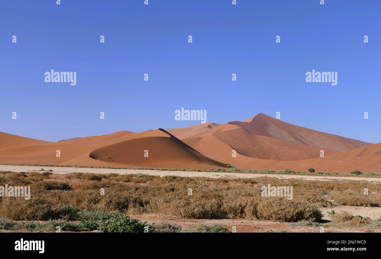 Exploring Namib Desert in Africa with Trailfinders Stock Photo - Alamy