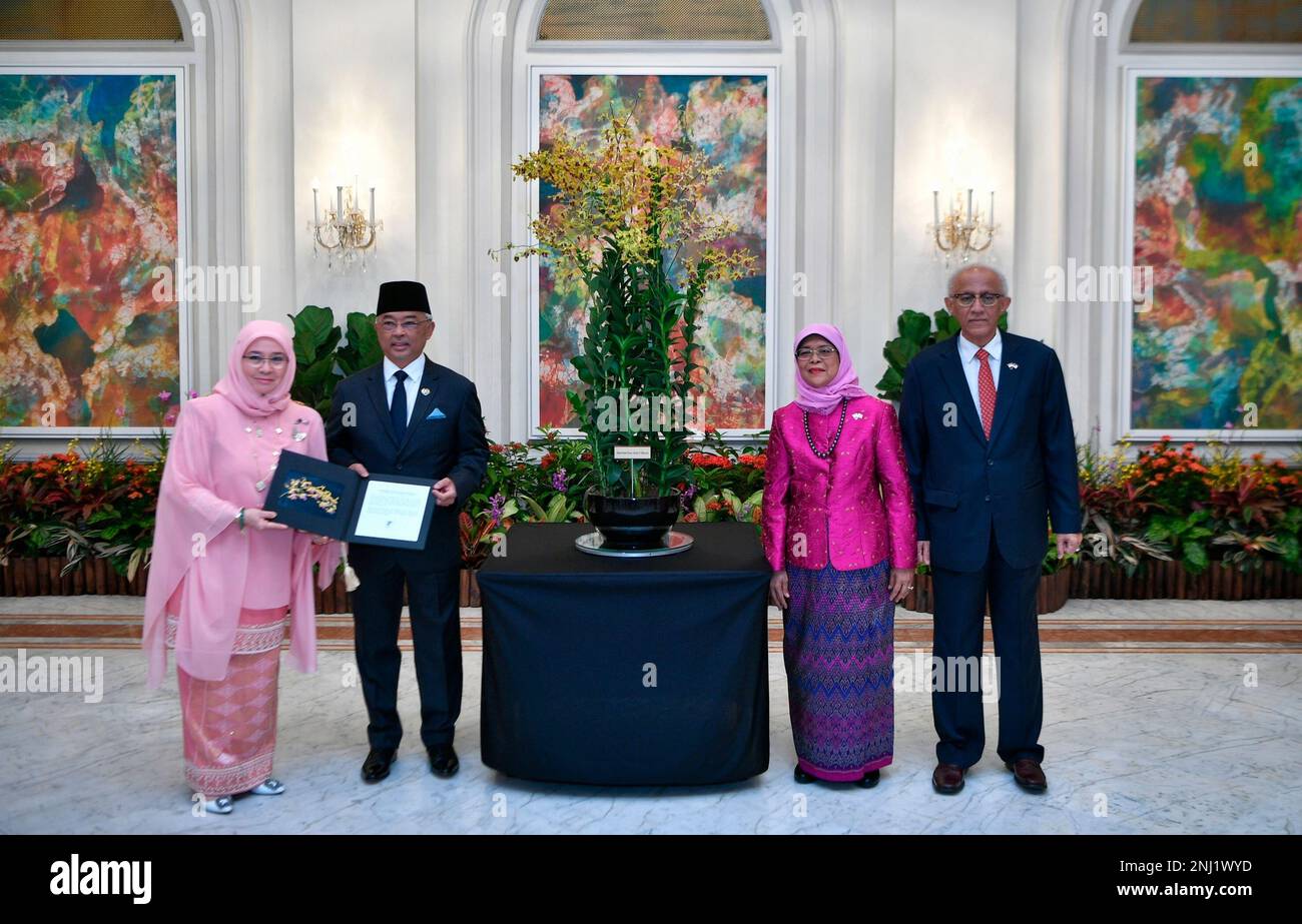 (From left) Tunku Azizah Aminah Maimunah Iskandariah, Malaysia's King ...