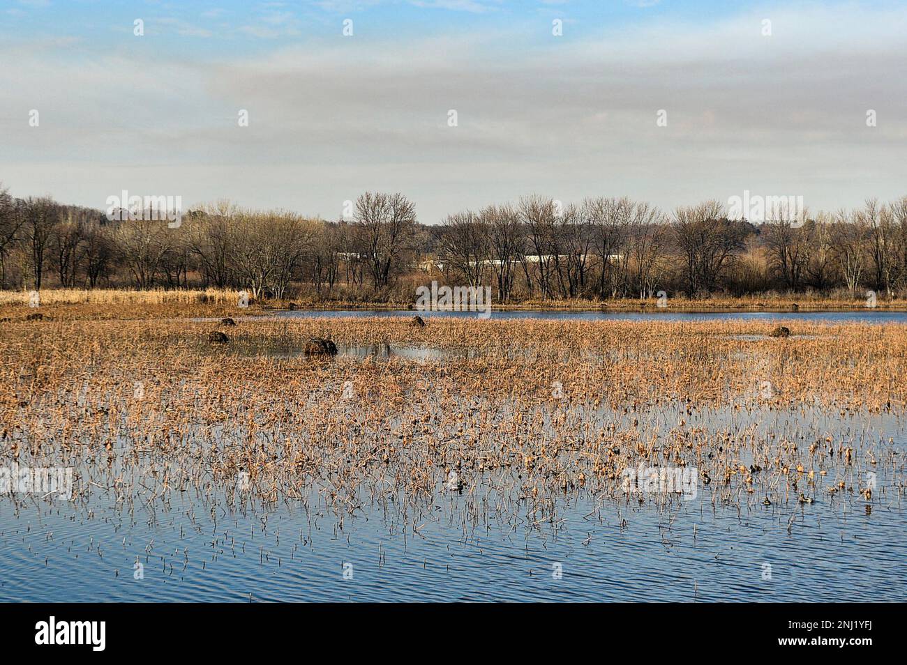 Nahant Marsh as seen on Dec. 3, 2021, in Davenport, Iowa. More ...