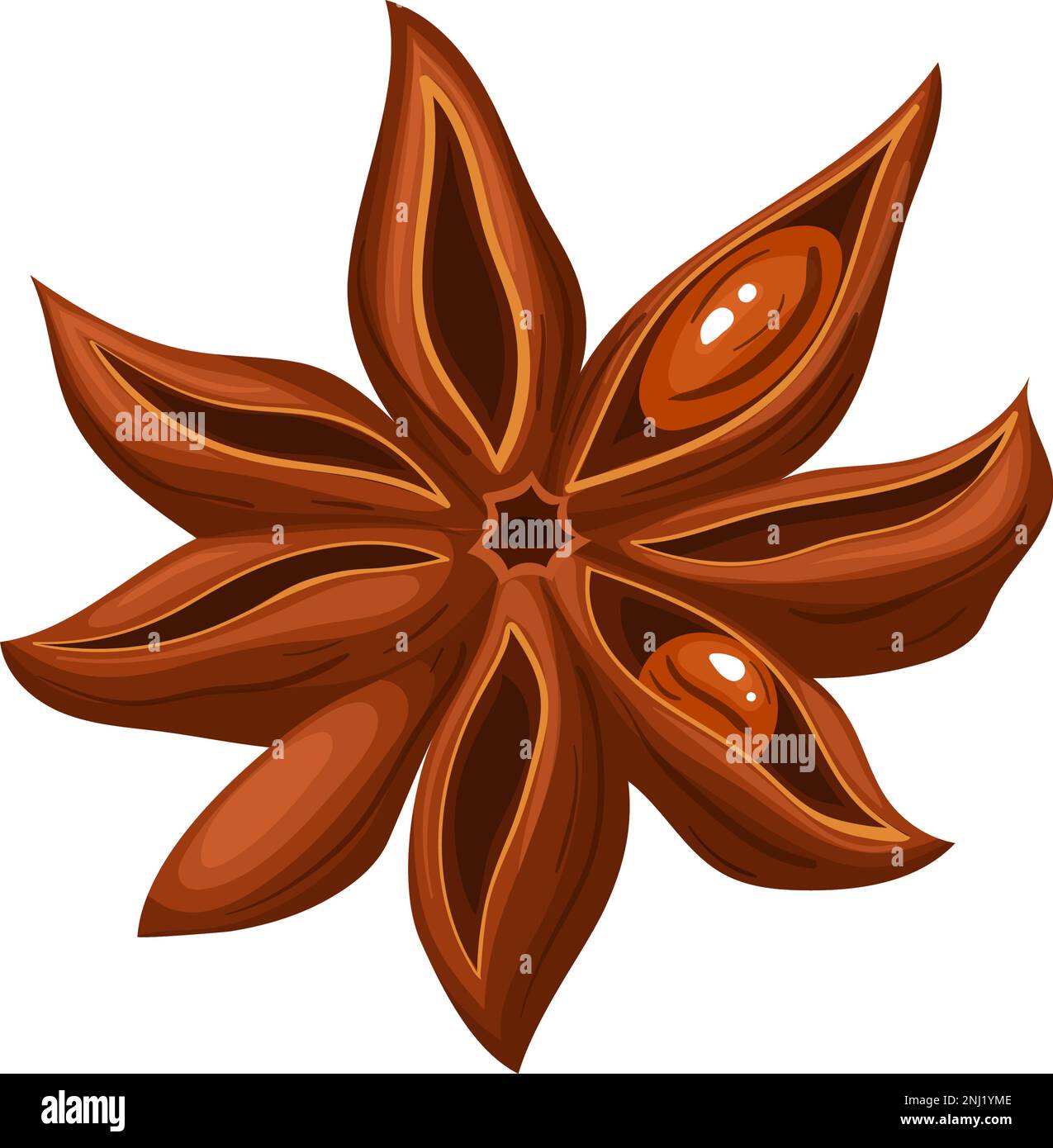 anise spice cartoon vector illustration color sign Stock Vector Image ...