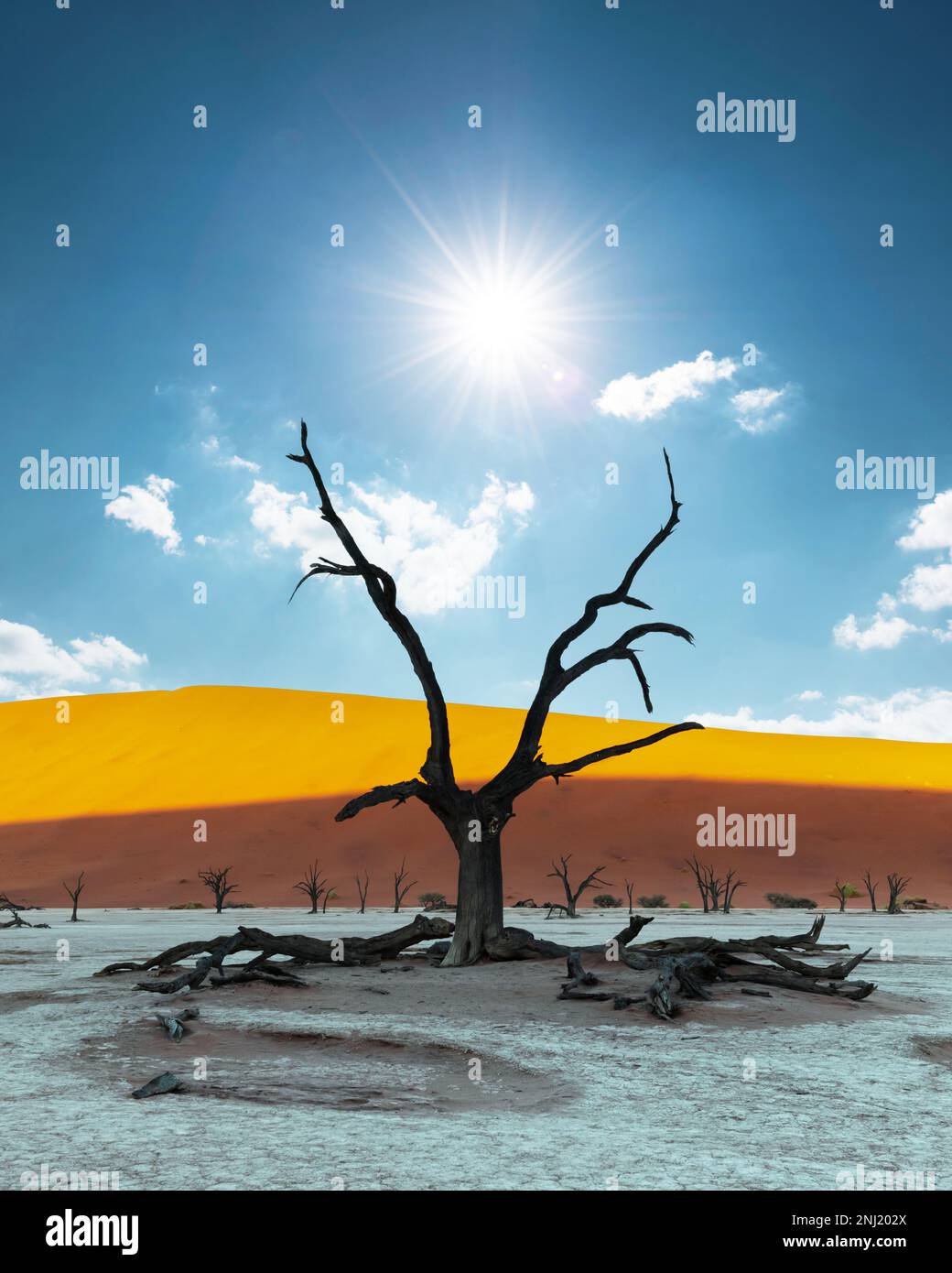 Mist in namibian desert hi-res stock photography and images - Alamy