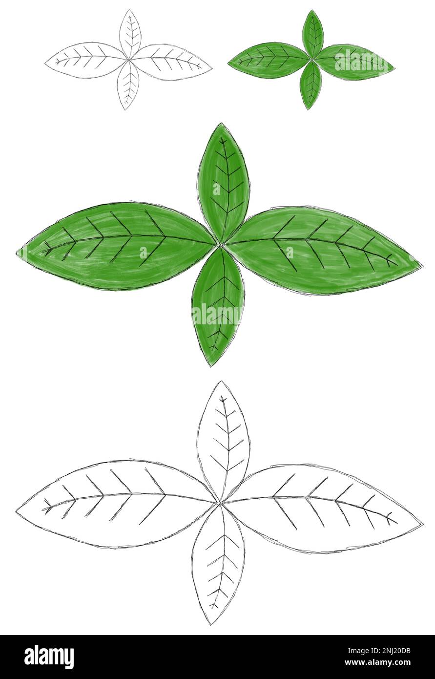 Natural leaf two leaves hi-res stock photography and images - Alamy