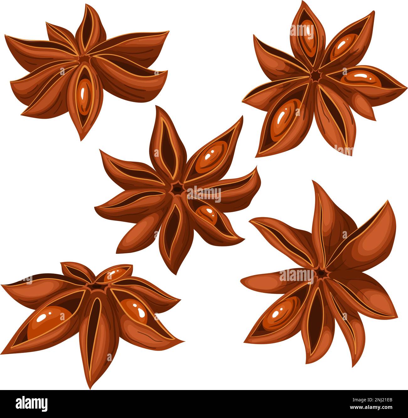 anise star brown dry set cartoon vector illustration color sign Stock ...