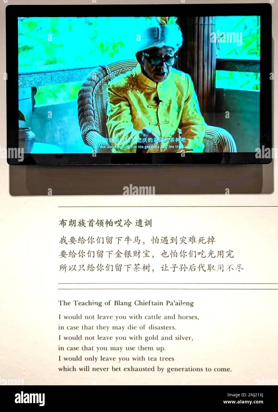 Jingmai mountain tea hi-res stock photography and images - Alamy