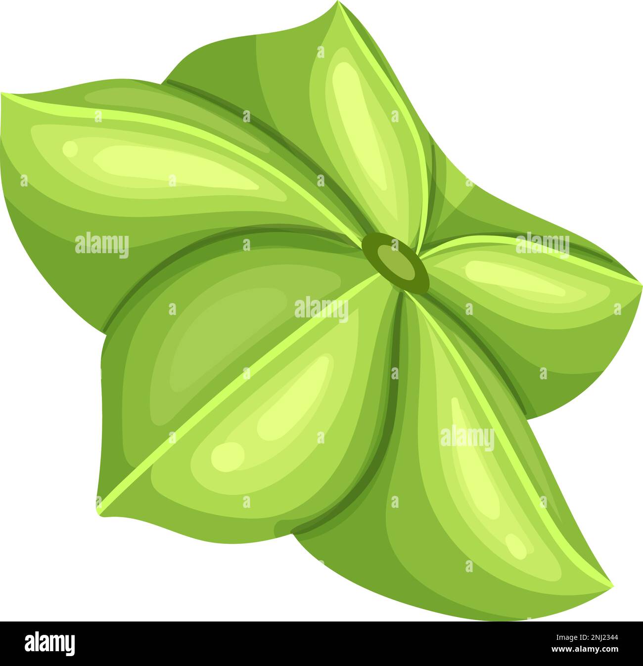 sacha inchi green cartoon vector illustration color sign Stock Vector ...