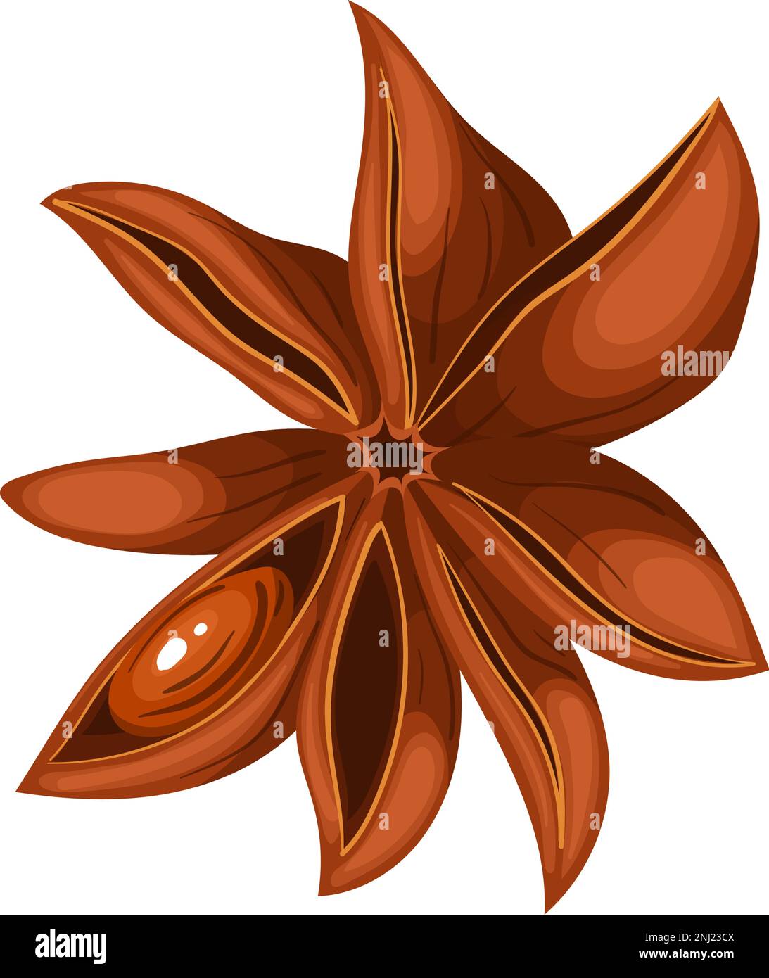 anise brown dry cartoon vector illustration color sign Stock Vector ...