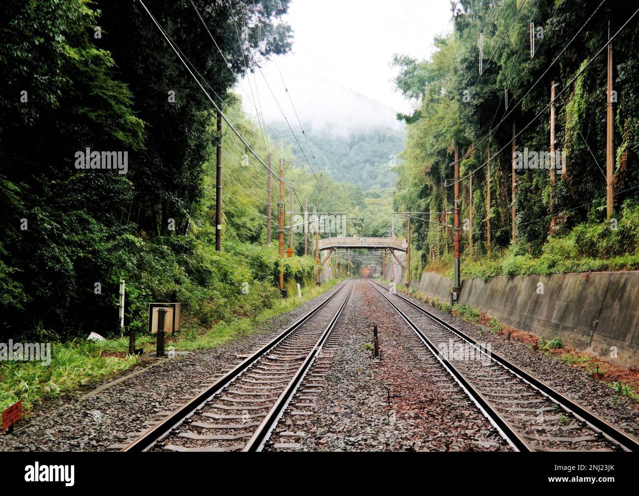 Kyoto, Japan - Sept, 2017: Arashiyama train railway through bamboo ...
