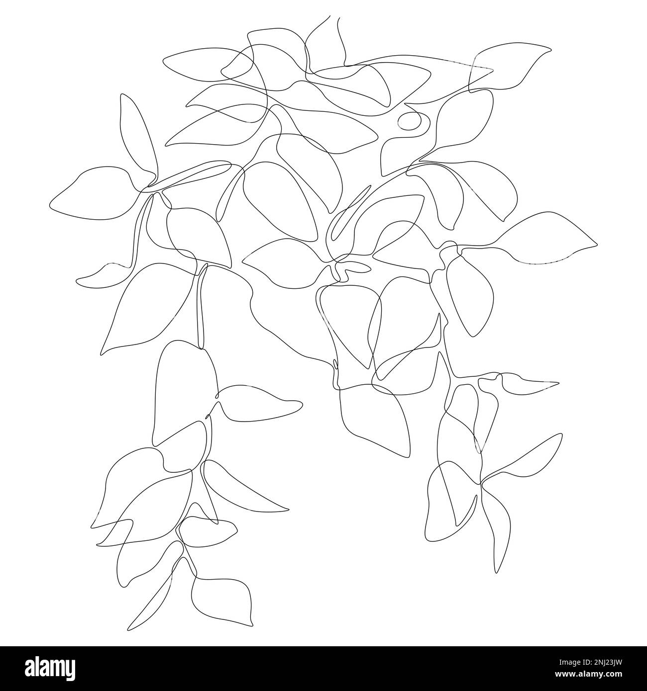 One continuous line of Leaf. Thin Line Illustration vector concept ...