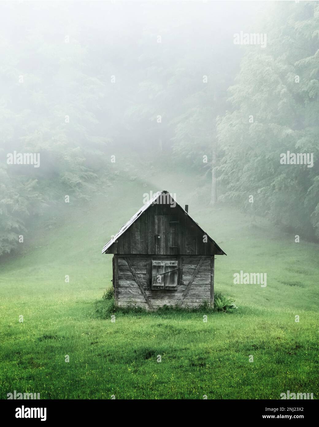 Alone cabin in the woods. High resolution panorama. Landscape ...