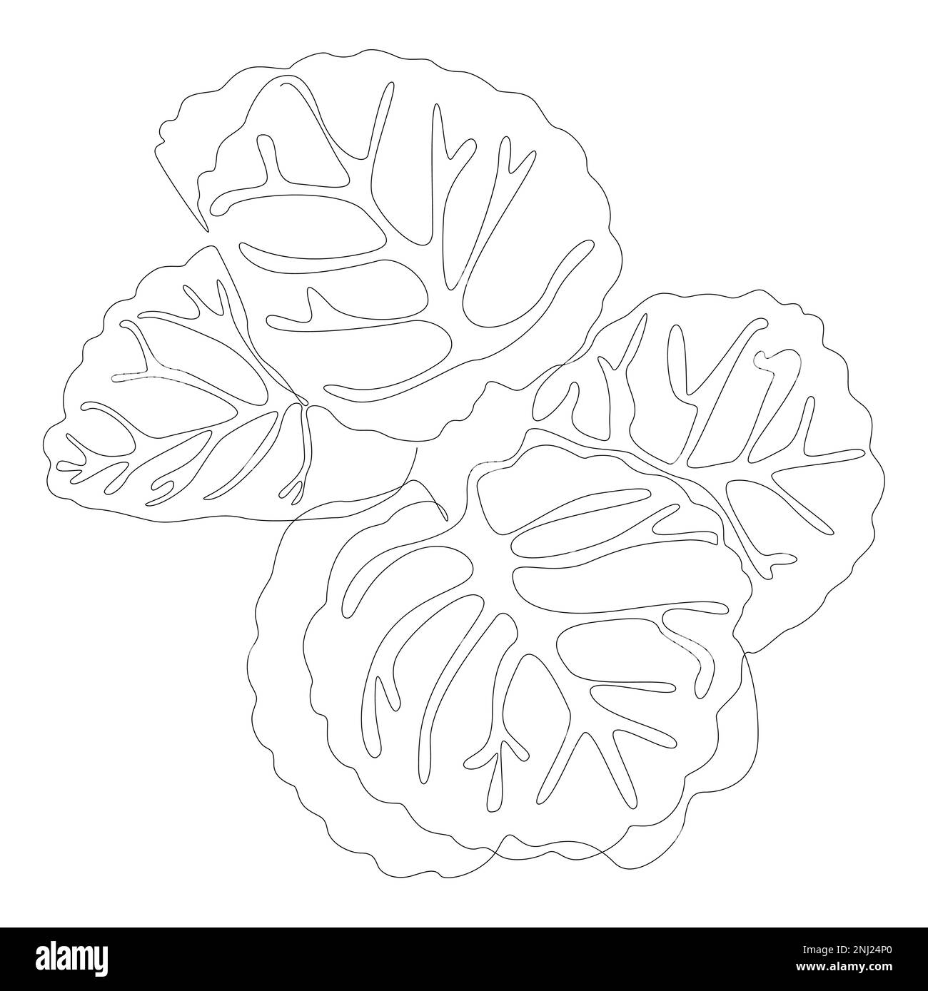 One continuous line of Leaf. Thin Line Illustration vector concept ...