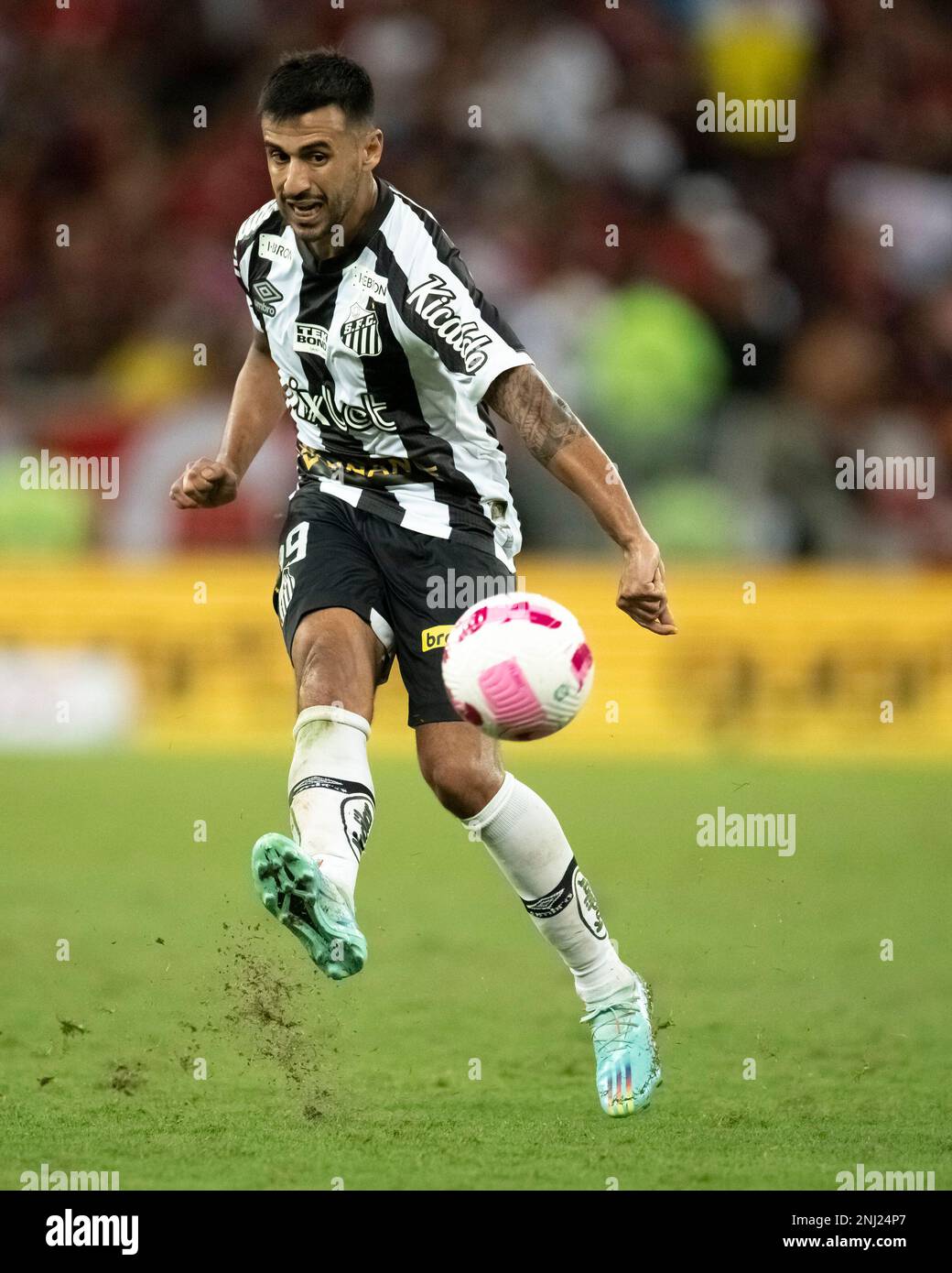 RJ - Rio de Janeiro - 10/25/2022 - BRAZILIAN A 2022, FLAMENGO X SANTOS ...