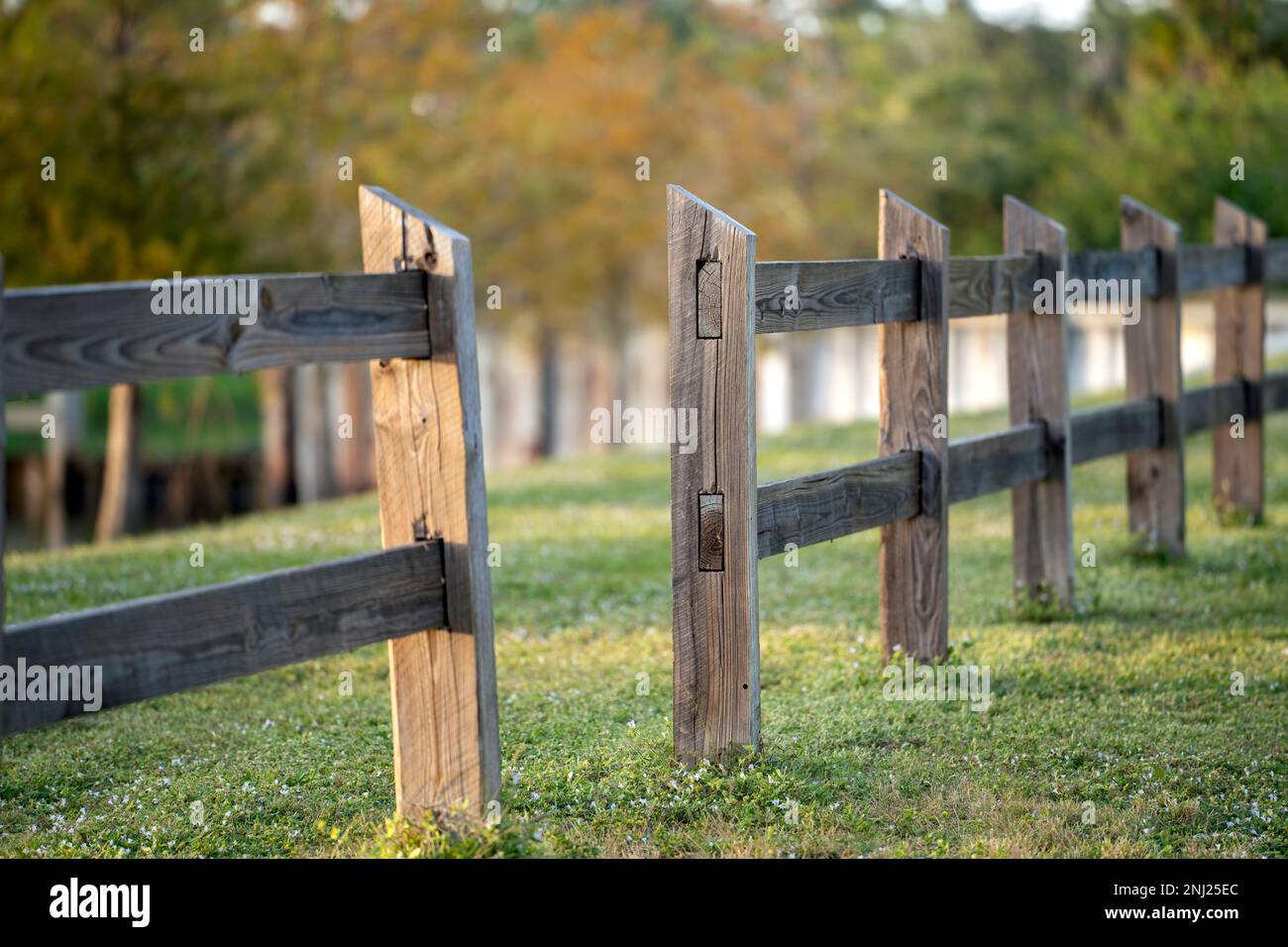 Wooden fence barrier at farm grounds for cattle and territory ...