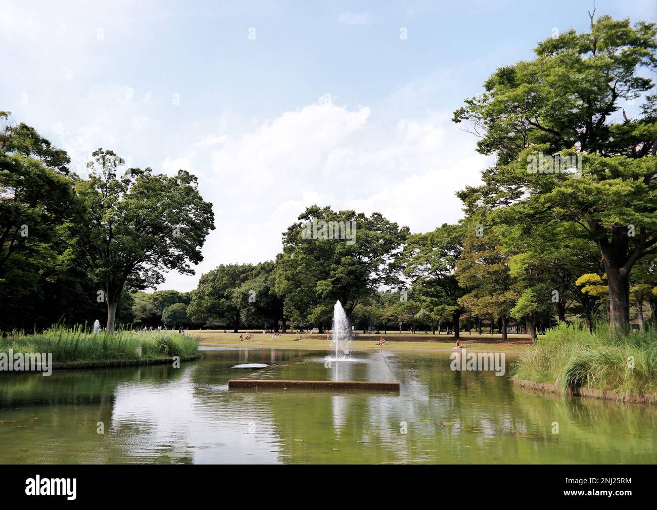 Tokyo, Japan - Sept, 2017: Water fountain and lake of Yoyogi Park ...